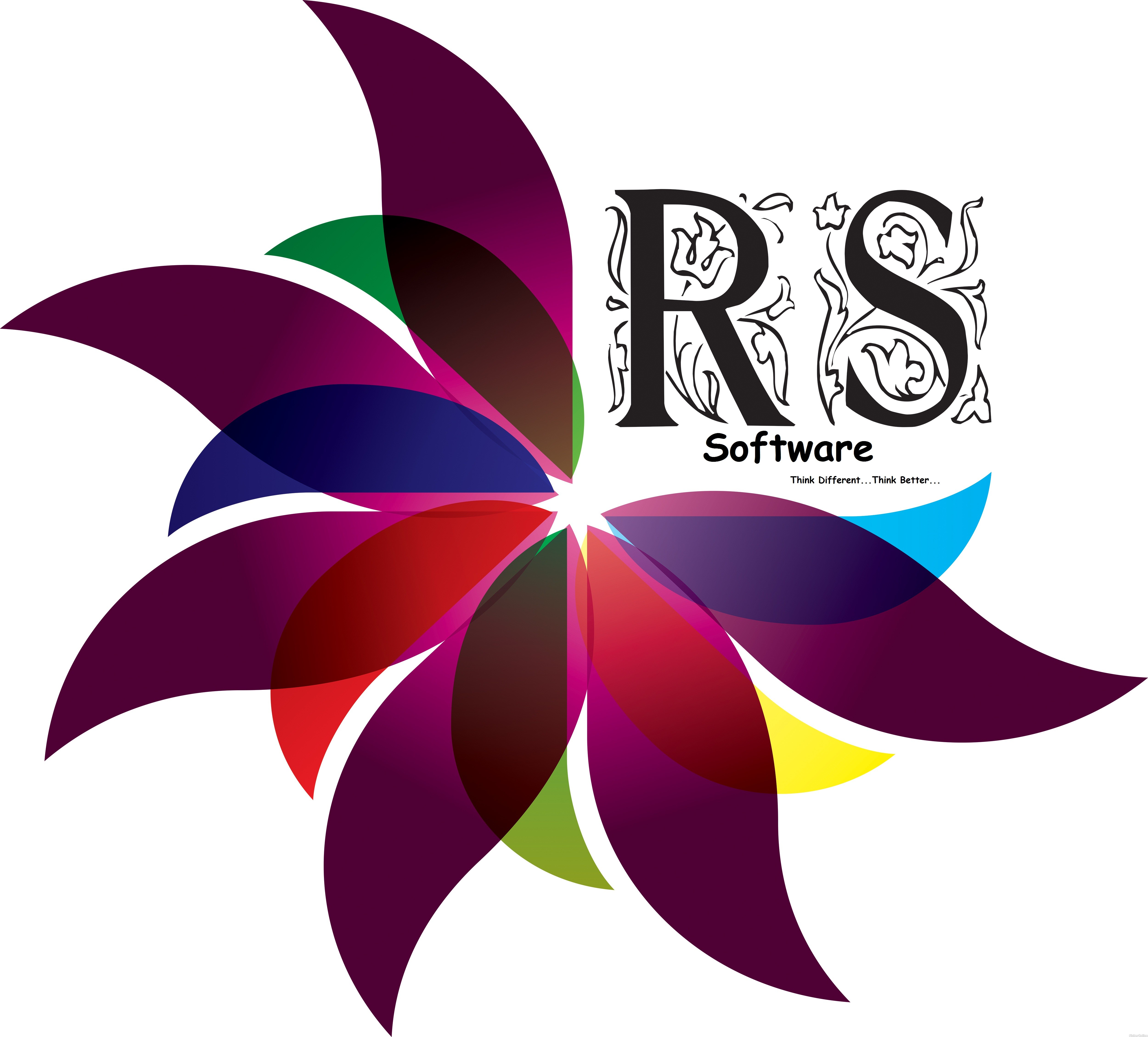 RS Software - Web Solutions Company - IT Park, Nagpur - Picker Online